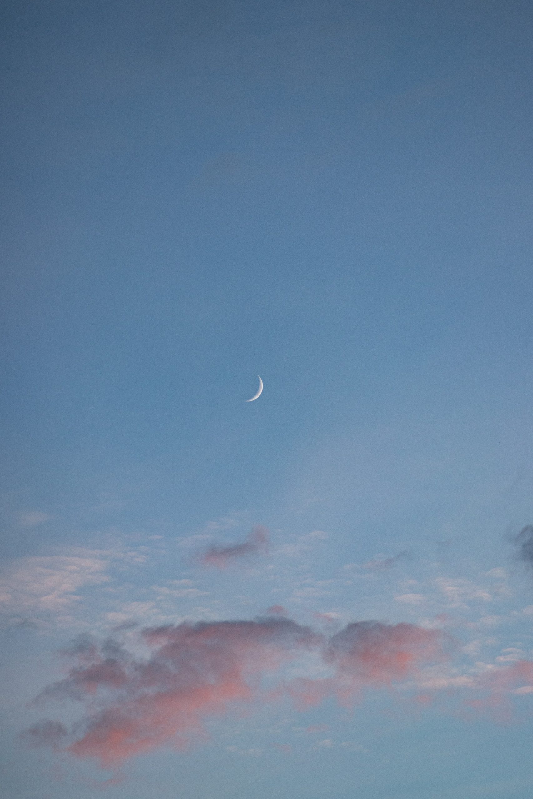 The Rise and Fall: Traci Lords' Porn Journey - MITx Authenticate